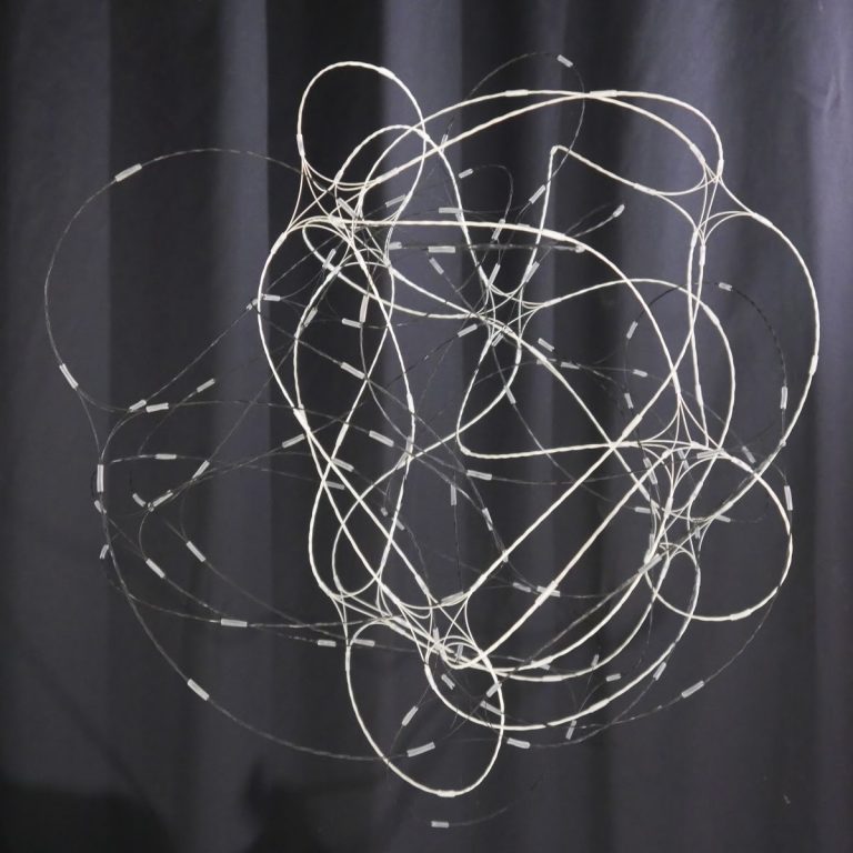Evolving Structures